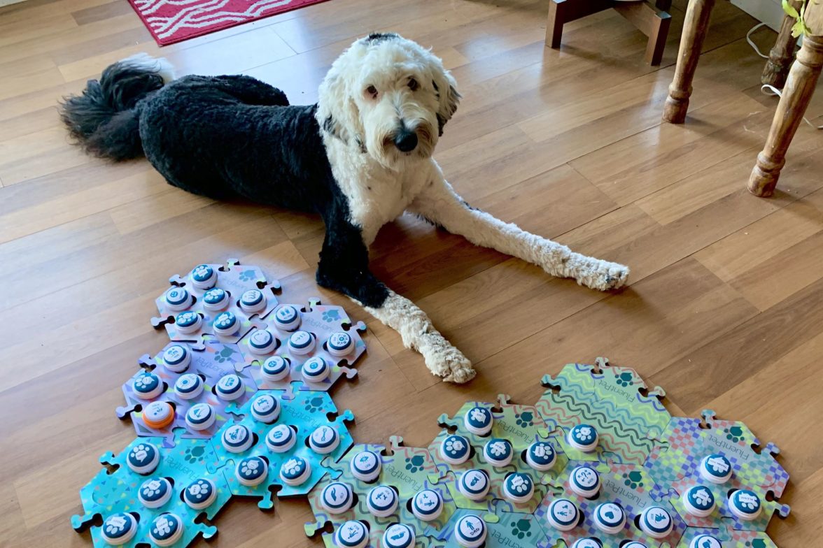 Автомобиль-хамелеон BMW, диско-холодильник LG и меддиагностика по селфи: лучшие экспонаты ...