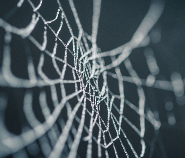 Shkulev закрылся от ботов «Яндекса» — ADPASS