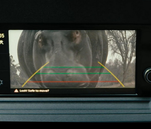 VW Caddy выдержал сравнение с самкой бегемота и машиной наркодилеров — ADPASS